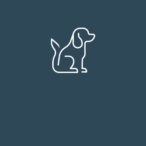 Pet Health Plan | Bridge Vets